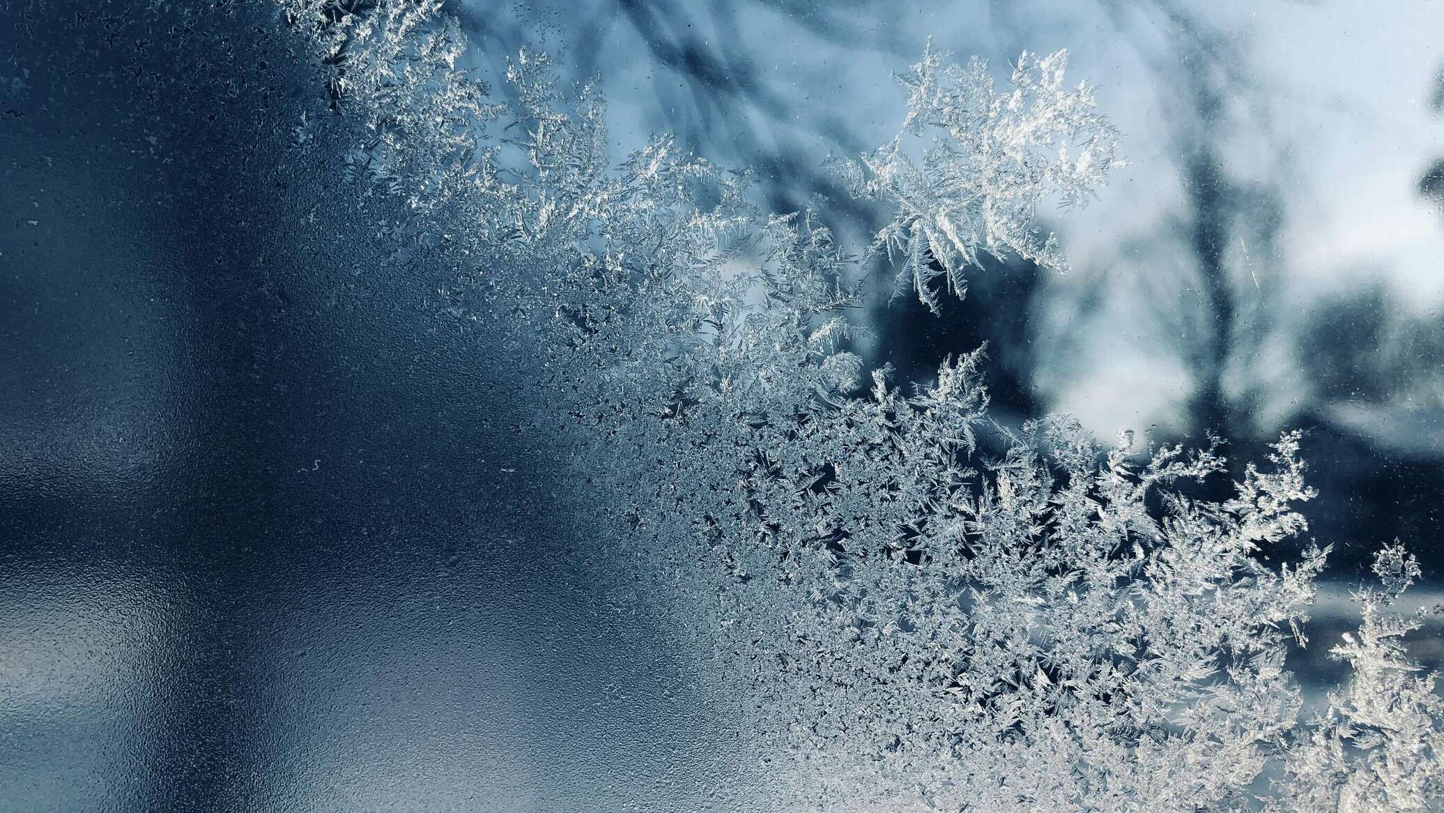 “Tarashaday qotdim”: o‘zbek tilida sovqotishni anglatuvchi iboralar ...