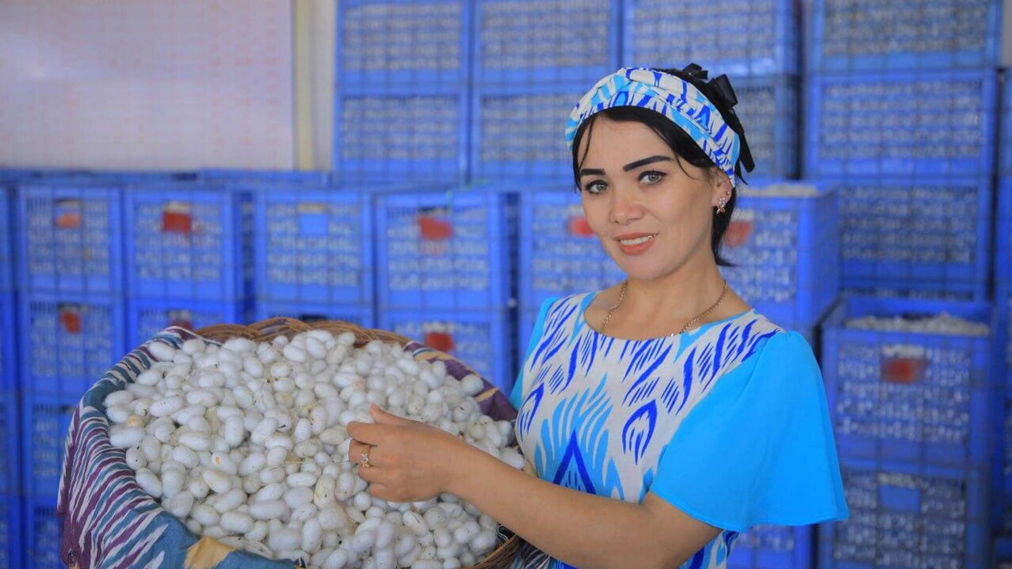 O‘zbekiston xom ipak sifatini 5A klassga yetkazmoqchi