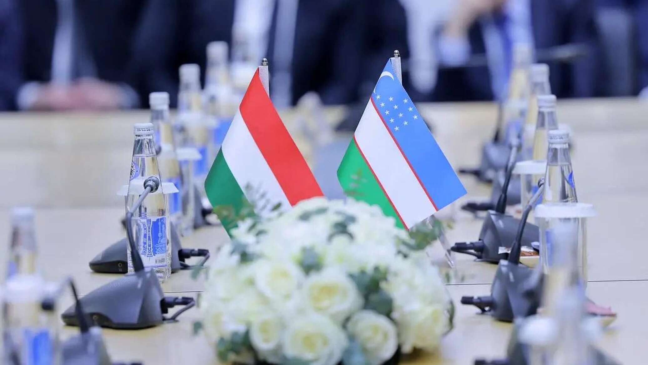 Vengriya Sirdaryoda qanday yirik loyiha boshladi?