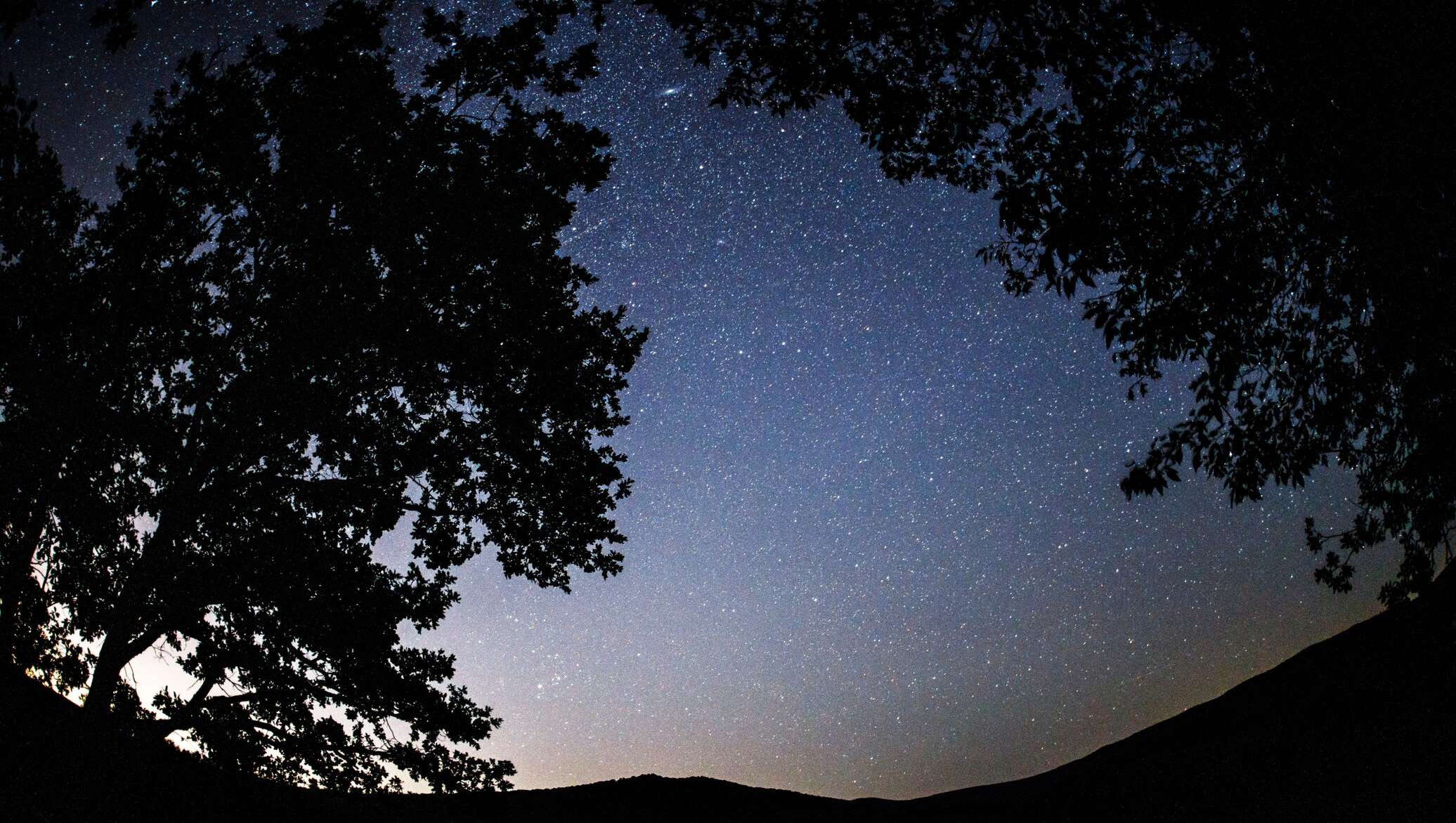 Yerga Xeops ehromi kattaligidagi asteroid yaqinlashmoqda - 12.08.2019, Sputnik O‘zbekiston