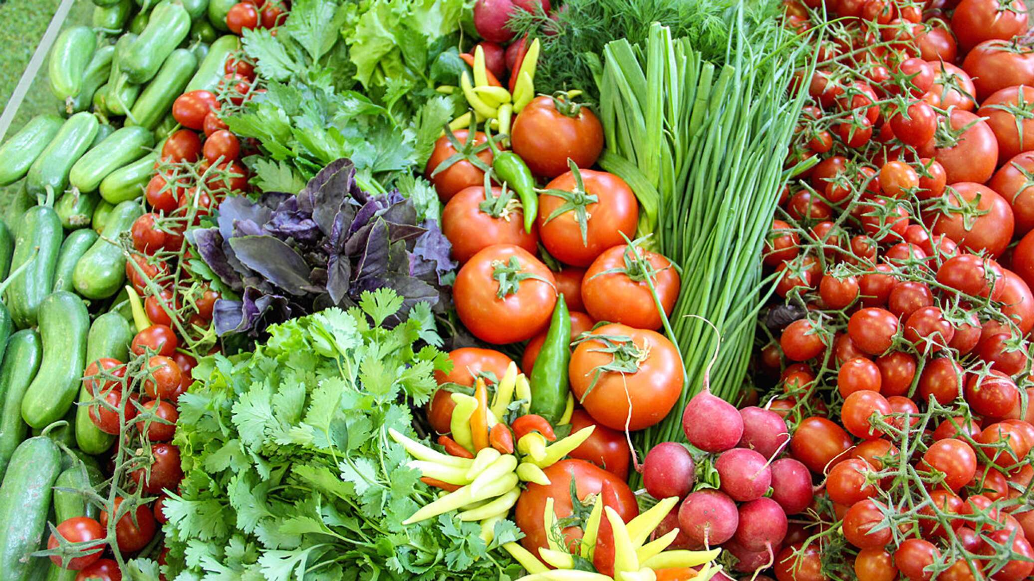 O‘zbekiston va Rossiya qishloq xo‘jaligi sohasida hamkorlikni ...